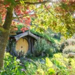 Private Tour - Hobbiton Movie Set & Te Puia (Rotorua) - Who Will Love This Experience?