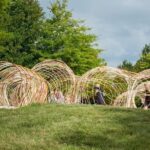 Private Tour - Horse Riding, Wine Tasting and Art Trail - A Deep Dive into the Experience