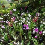 Private Tour: Hot spings & Sleeping Giant Garden hiking Adventure - Who Should Consider This Tour?