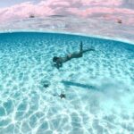 Private Tour in Cozumel El Cielo Sandbar and Reef Snorkeling - What’s Included and What You Should Know