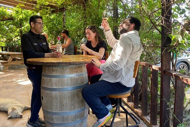 Private Tour in Guadalupe Valley, Vine Yards & Wine Route ENS MX - What’s on the Itinerary?