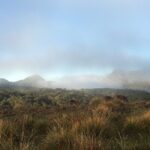 Private Tour in Horton Plains National Park & World's End Tour with Pick up - Practicalities and Value