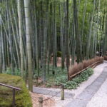 Private tour in Kamakura: Matcha tea tasting & photo shoot - Walking Through Kamakura: The Itinerary Unpacked