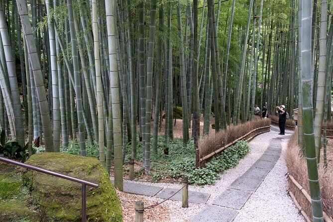 Private tour in Kamakura: Matcha tea tasting & photo shoot - Walking Through Kamakura: The Itinerary Unpacked