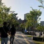 Private Tour in Osaka - Who Will Love This Tour?
