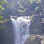 Private tour in Ubud country side - Why We Think This Tour Offers Good Value
