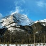 PRIVATE TOUR: Kananaskis Safari Drive and Guided Nature Walk 4H - Final Thoughts: Who Is This Tour Perfect For?