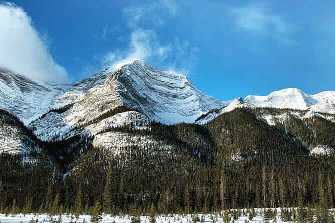 PRIVATE TOUR: Kananaskis Safari Drive and Guided Nature Walk 4H - Final Thoughts: Who Is This Tour Perfect For?