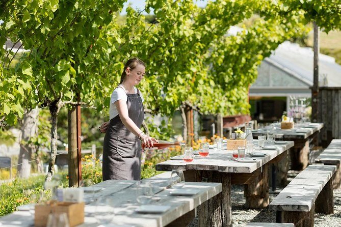 Private tour - Matakana Art & Wine Village - The Value of a Private, Customizable Tour