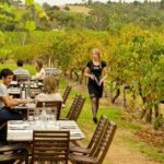 [PRIVATE TOUR] Mornington Peninsula Hot Springs | Winery & Sightseeing Tour - What’s Included and What’s Not