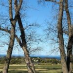 Private Tour: Mornington Peninsula Wine, Beer & Hotsprings - Why This Tour Offers Great Value
