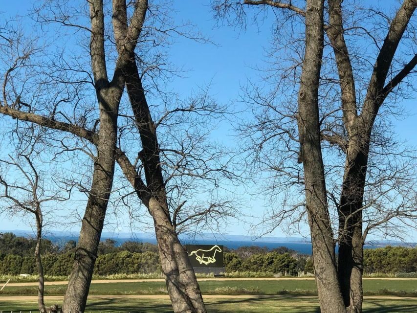 Private Tour: Mornington Peninsula Wine, Beer & Hotsprings - Why This Tour Offers Great Value
