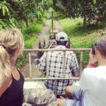 Private Tour : Must See Sites by Public Transportation - Final Thoughts