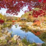 (Private tour) Nami Island + Railbike + Garden of morning calm - FAQ