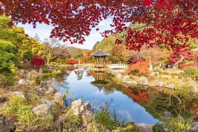 (Private tour) Nami Island + Railbike + Garden of morning calm - FAQ
