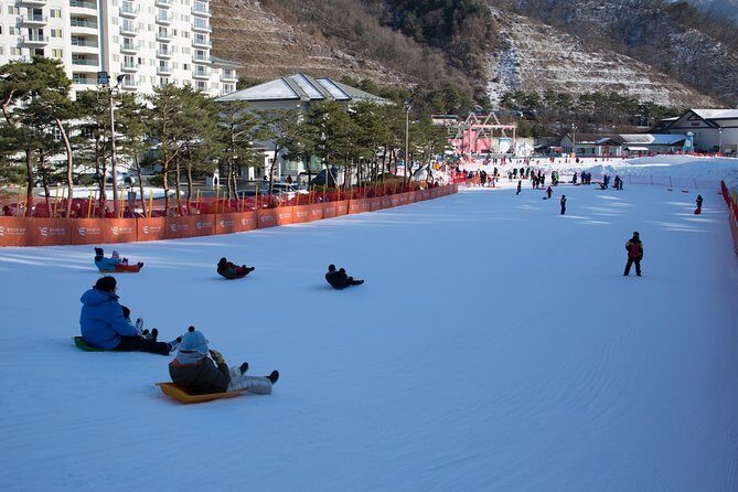 [Private Tour] Nami Island & Snow Viewing and Snow sled (More Members Less Cost) - The Bottom Line