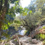 Private tour Nha Trang-Dalat excursion (start at Nha Trang) - Itinerary Breakdown