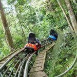 Private tour Nha Trang - Dalat excursion (starting at Nha Trang) - What Makes This Tour Stand Out