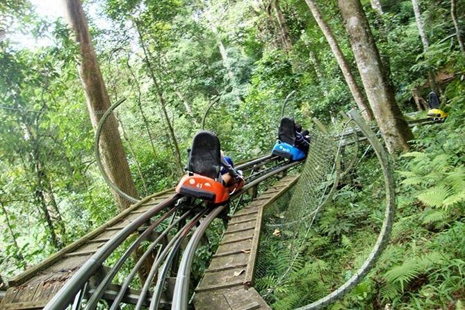 Private tour Nha Trang - Dalat excursion (starting at Nha Trang) - What Makes This Tour Stand Out