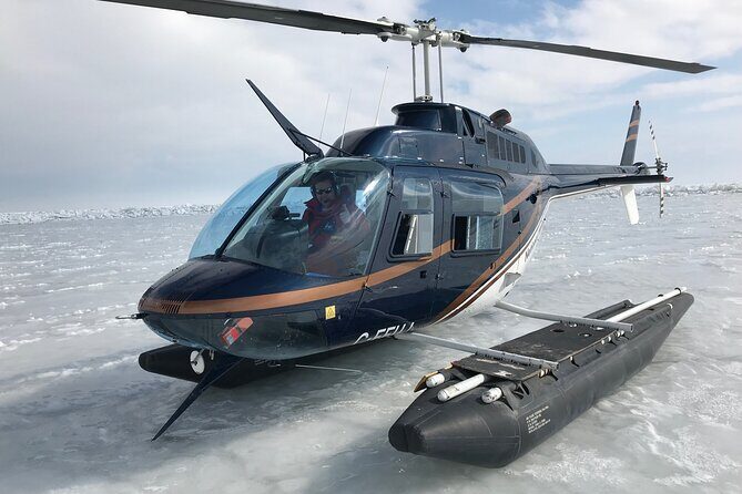 Private Tour: Niagara Falls Helicopter Flight - Itinerary Breakdown