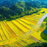 Private Tour NINH BINH Tam Coc Bich Dong Thai Vi 1-day From Hanoi - Why It Offers Good Value