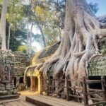 Private Tour of Angkor Wat and Floating Village - Who Will Love This Tour?
