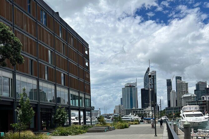 Private Tour Of Auckland - Practical Insights on the Experience