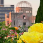 Private Tour of Hiroshima in Spanish: History, emotion, and local guide - Summary & Who Should Consider This Tour