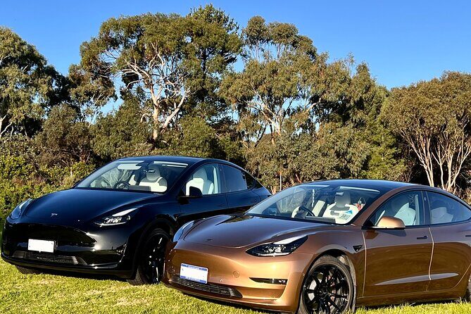 Private Tour of Rojina's Fleurieu in McLaren Vale - What Makes This Tour Stand Out?