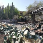 Private Tour of the Mezcal Route with Ancestral Drinks - Detailed Breakdown of the Itinerary