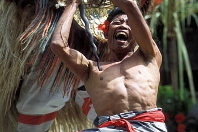 Private Tour of Ubud Center and Surroundings - Navigating the Experience: What You Can Expect