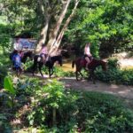Private Tour: Pacific's Largest Dunes & Famous Waterfall - Authentic Experiences and Genuine Impressions
