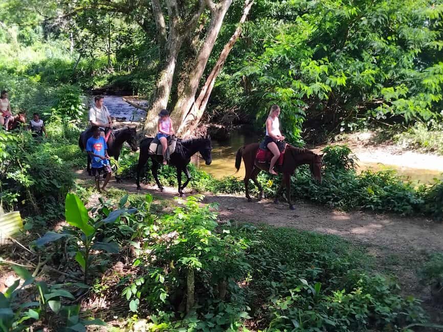 Private Tour: Pacific's Largest Dunes & Famous Waterfall - Authentic Experiences and Genuine Impressions