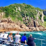 Private tour: Port Stephens, departing Newcastle - Whales! - Practical Details and Value