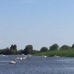 Private Tour Prek Toal Bird Sanctuary Off Beaten Track - Why This Tour Delivers Value