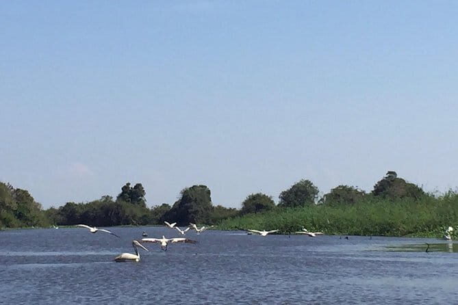 Private Tour Prek Toal Bird Sanctuary Off Beaten Track - Why This Tour Delivers Value
