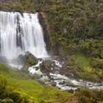 Private Tour: Private Tour: Waitomo Caves (Flexible) - Breaking Down the Experience: What You Can Expect