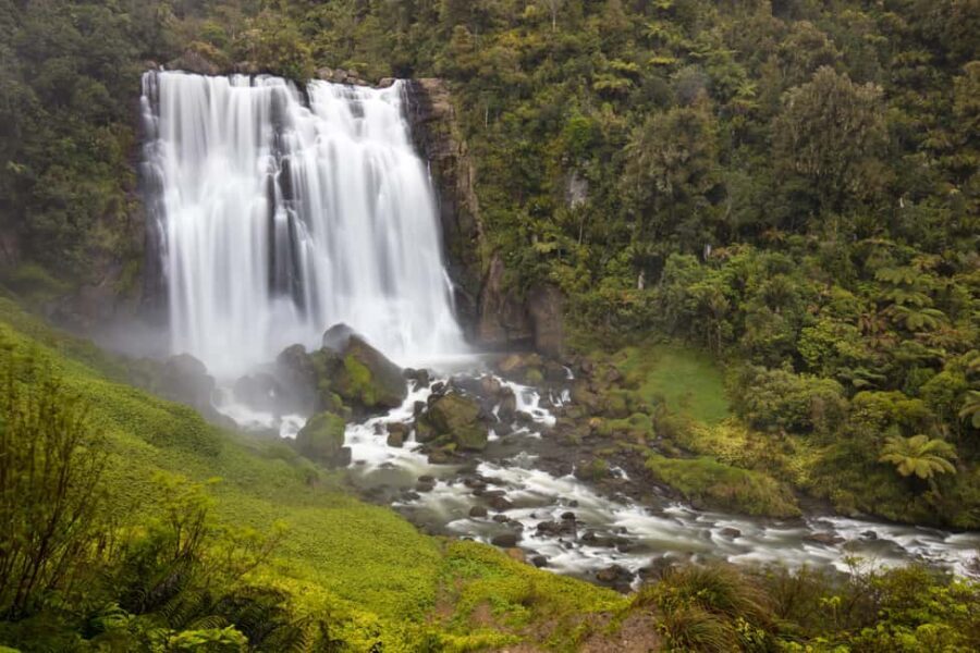 Private Tour: Private Tour: Waitomo Caves (Flexible) - Breaking Down the Experience: What You Can Expect