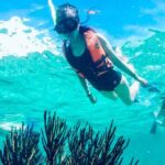 Private Tour Reefs and Corals Puerto Morelos Snorkel Lunch - A Closer Look at the Itinerary