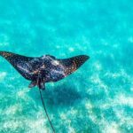 Private tour - Sian Ka´an Adventure - The Practical Side: Logistics & Value