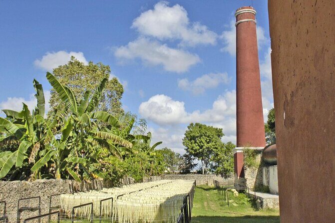 Private Tour: Sotuta de Peon Hacieda Day Trip - Exploring the Sotuta de Peon Hacienda Day Trip: An Authentic Yucatán Experience