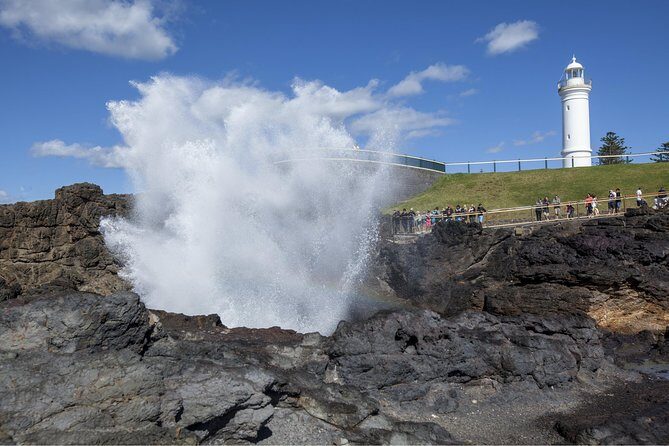 Private Tour: Sydney South Coast & Highlands - A Deep Dive into the Experience
