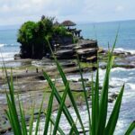 Private Tour The Beauty of Jatiluwih Rice Terrace - Final Thoughts: Who Will Love This Tour?