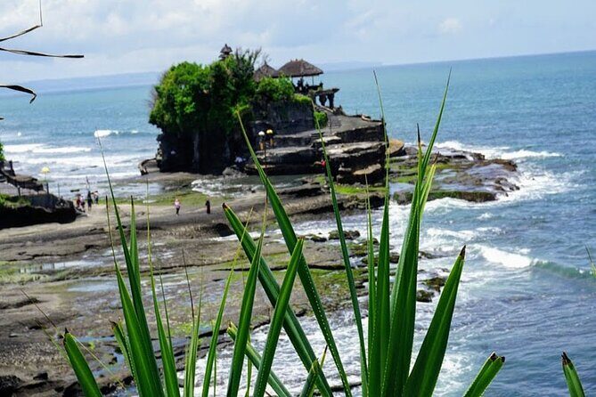 Private Tour The Beauty of Jatiluwih Rice Terrace - Final Thoughts: Who Will Love This Tour?