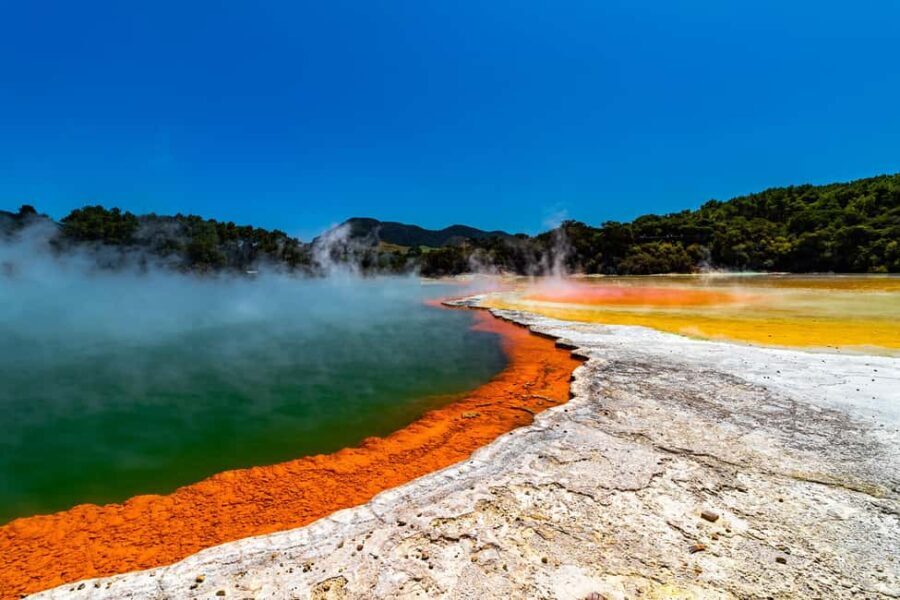 Private Tour: The Rocky Rotorua (Flexible) - What Is Included and How Do You Maximize It?