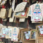 Private Tour - Thousands of lucky cats! Go by tram, Gotokuji Tour - Transportation and Pacing: Practical and Relaxed