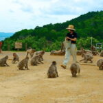 Private Tour to Arashiyama Monkey Park and Arashiyama Highlights - Final Thoughts