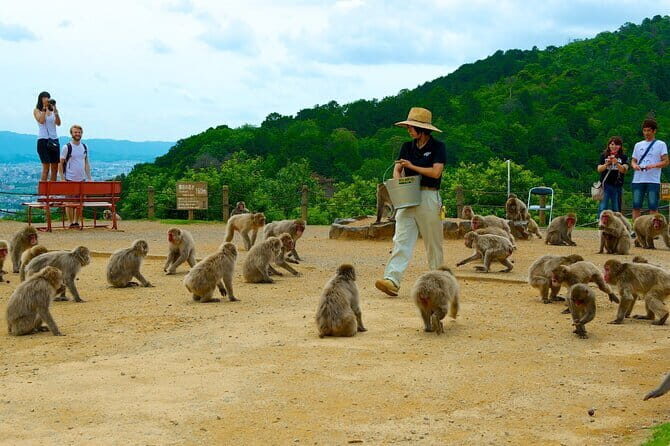 Private Tour to Arashiyama Monkey Park and Arashiyama Highlights - Final Thoughts