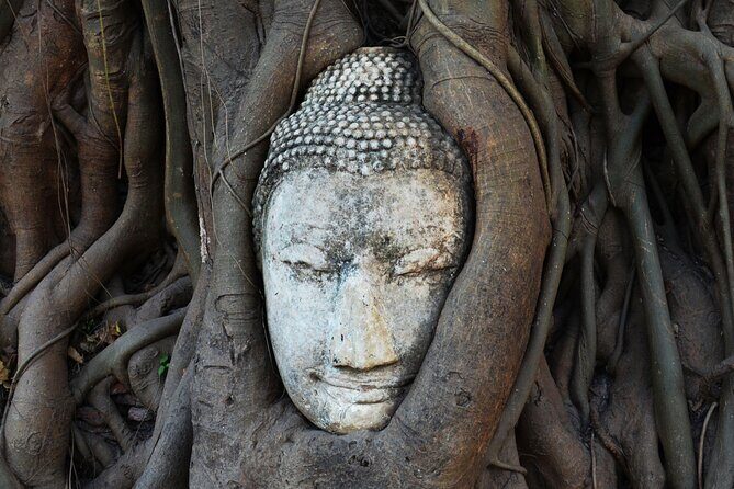 Private Tour to Ayutthaya and Bang Pa In Palace with Boat Tour - Why This Tour Stands Out