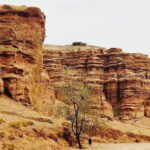 Private Tour to Charyn Canyons - What Travelers Say: The Good and the Caveats